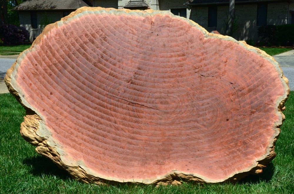 AustralianBurls.com - Large Burl Slab Current Inventory