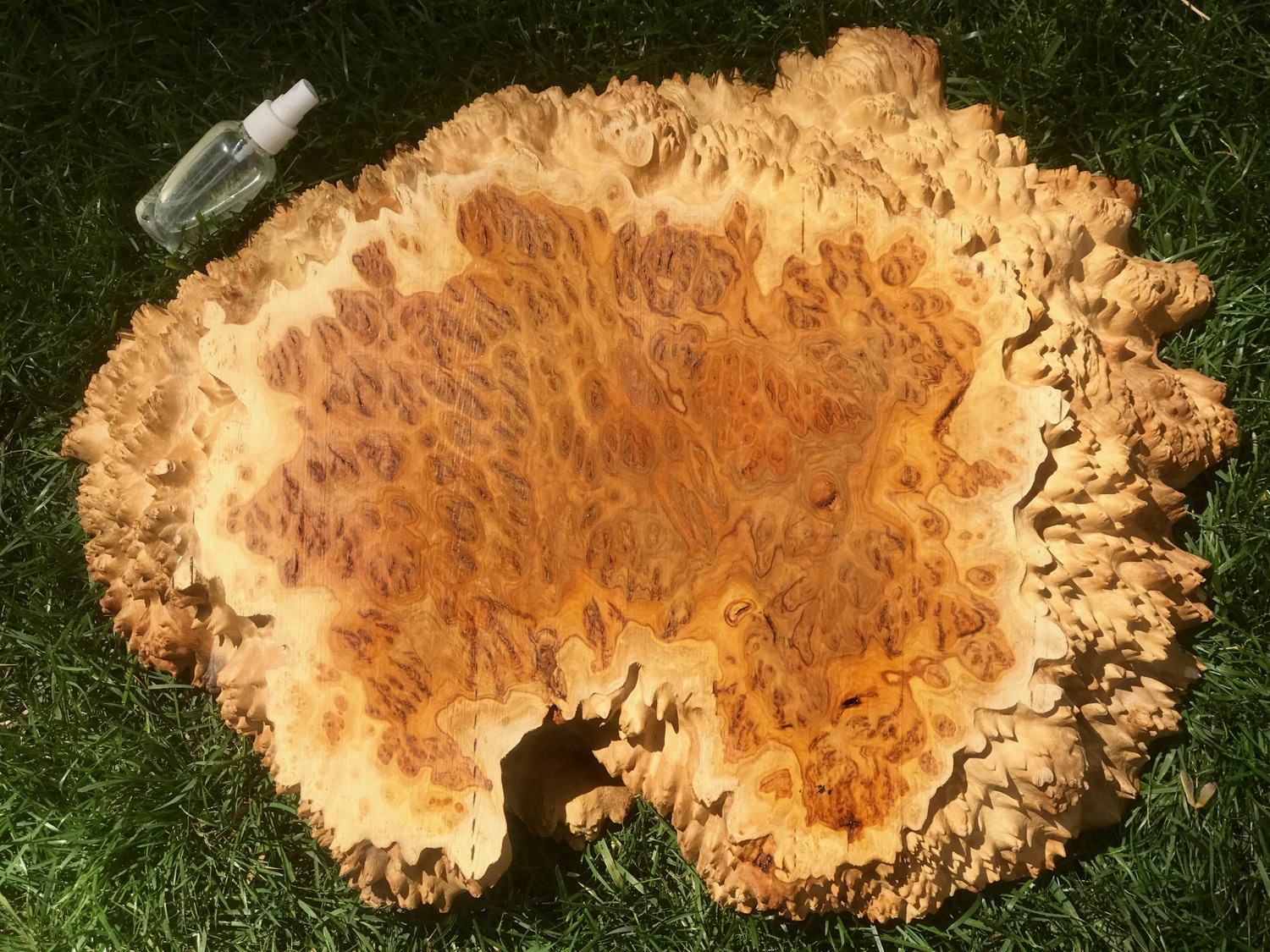 AustralianBurls.com - Small-Medium Burl Slabs