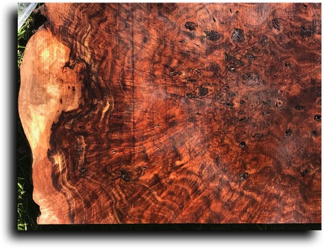 AustralianBurls.com - Claro Walnut Burl